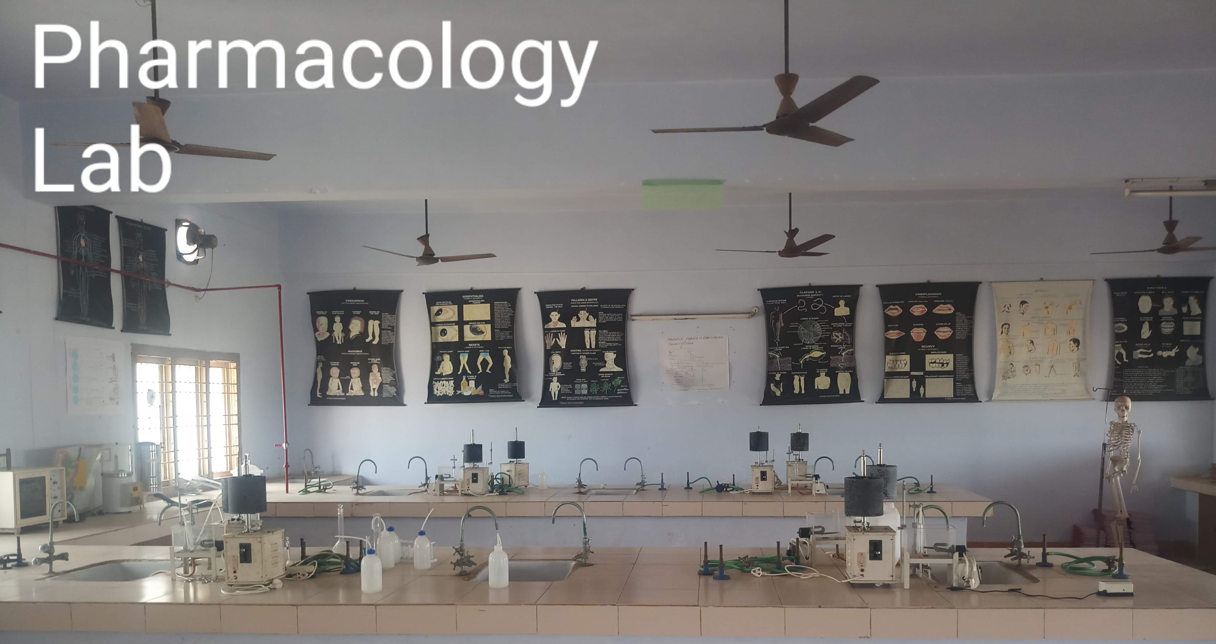 St. Ann's College of Pharmacy :: CHIRALA